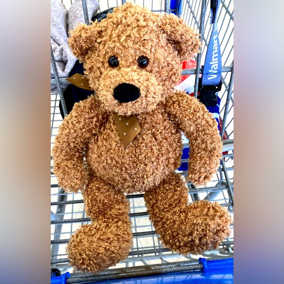 Gund | Other | Gund Brown Bear Curly Bean Bag Plush With Star Ribbon ...